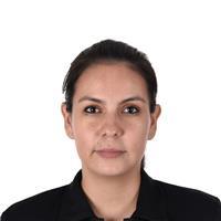 Alentar, Motivar,Enseñar Y Asesorar A Los Alumnos. Clases de Todos los ...