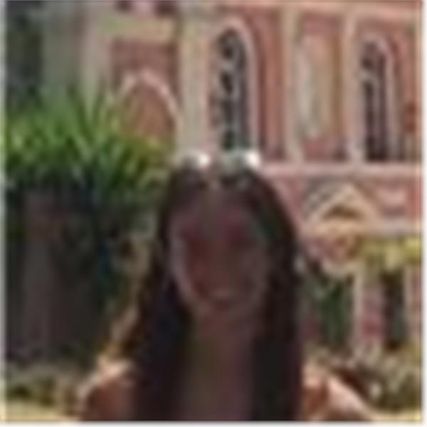 Elena Alemán Osés | Tus clases particulares
