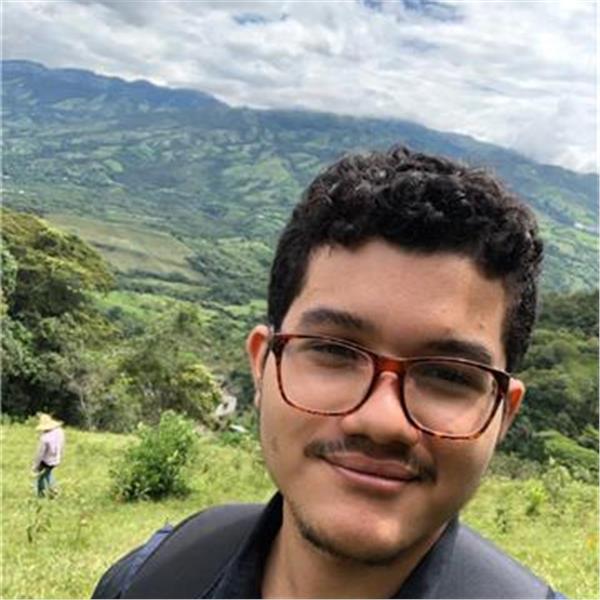 Profesor Con Conocimientos Avanzados En Python R Java Javascript