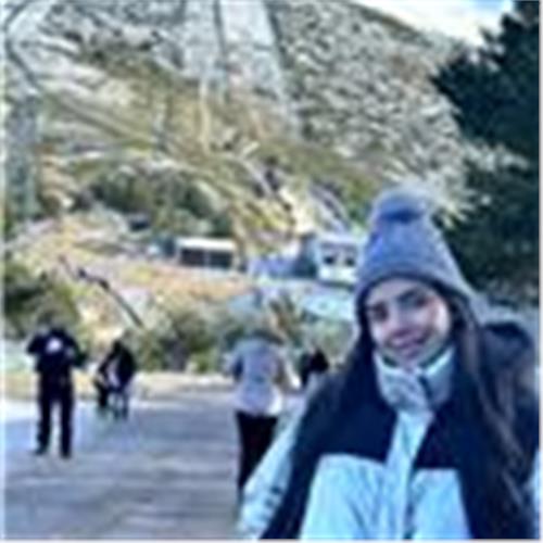 Profesional En Dibujo Técnico, Geometría, Diseño De Interiores