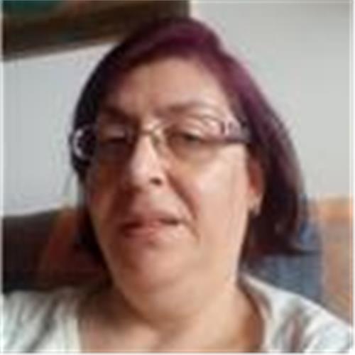 Trabalho Com Competências E Habilidades Usando A Criatividade. Vanisse