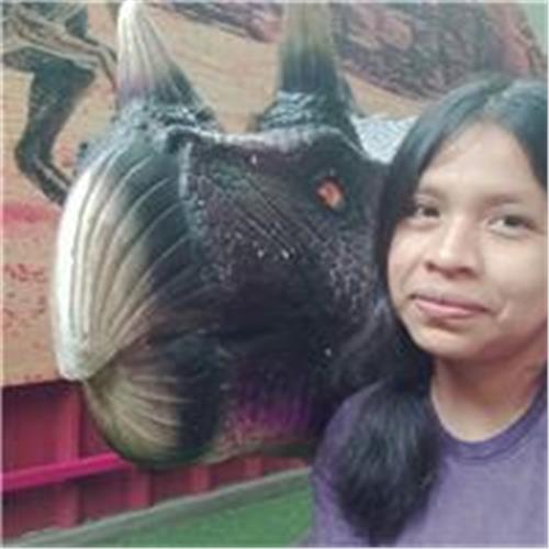 Matemáticas Básicas Fáciles Y Paso A Paso (Nivel Colegio). Pilar