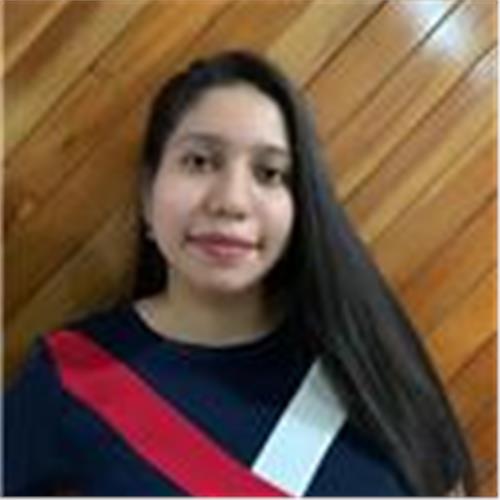 Maestra De Tecnología Con Experiencia En Las Materias De Redes, Base De Datos, Programación En ...