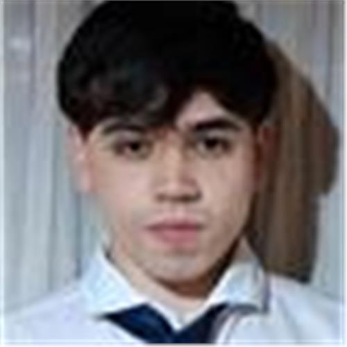 Profesor De Ingles Para Niños Y Adolescentes. Clases de Inglés online