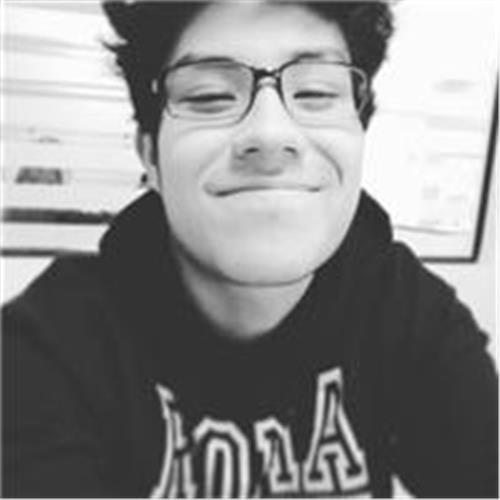 Profesor De Programacion En C, C , Python, Html, Css, Javascript, Etc