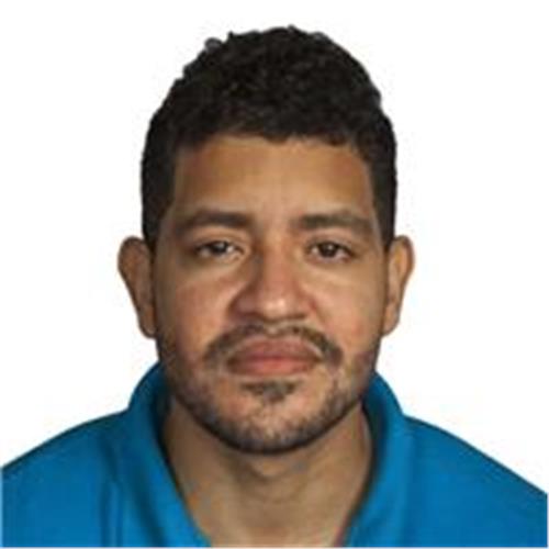 Aprende Programacion En R, Rstudio, Matlab, Python, C Y C