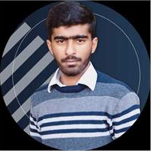 Innovative Programming Instructor Offering Interactive Lessons For ...