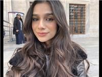 I Am Areeba And I Am A Student. I Have Studied All My Courses In ...