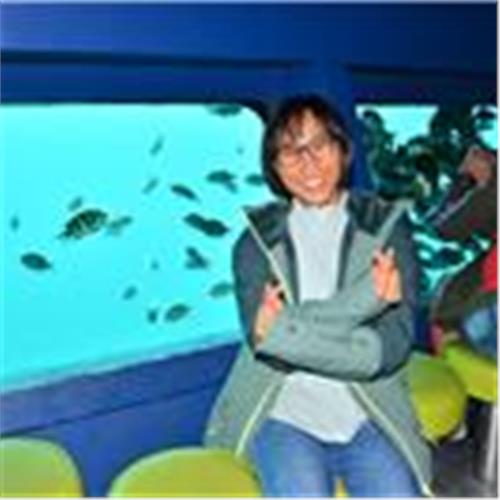 Child English, Communication And Ielts. Nachhilfe inEnglisch in