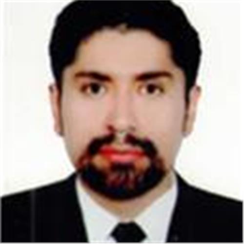 Spanish Native Speaker Who Teaches All-Level Students. Ronald