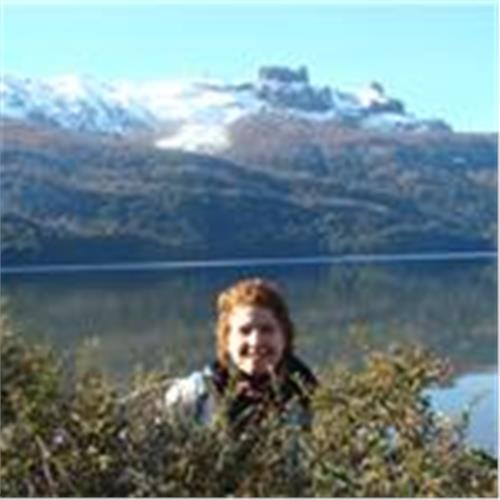 Aprende Python Pandas Java Excel Power Bi Sql Front End. Irma