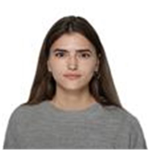 Native Russian Speaker And A Russian As A Foreign Language (Rfl ...