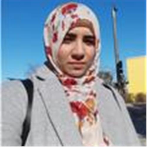 Electronic Engineer / Teacher (Very Good English Language Skills). Zahra