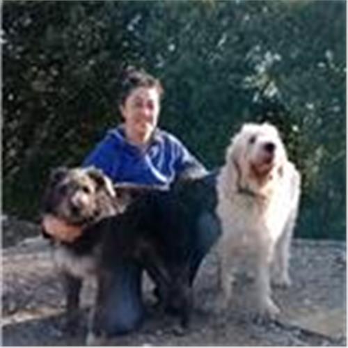 Des Cours Fle, Faciles Et Accessibles À Votre Rythme. Anne