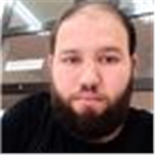 Online Physics Lessons For High School And Undergraduate Students. Ahmed