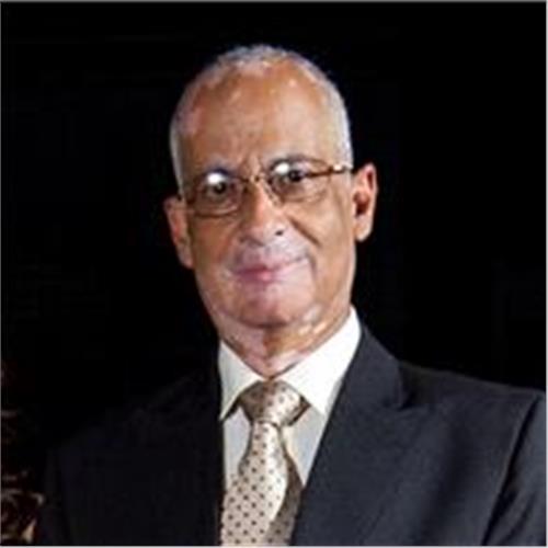 Facilitador De Software Crystal Ball, Excel Y Estadística Aplicada