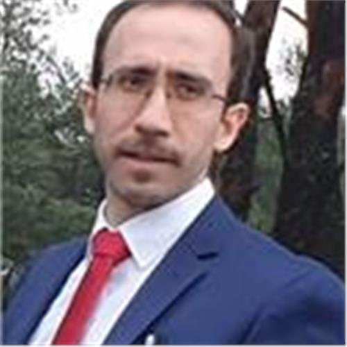 Phd Professor And Researcher, Specialized In Metallurgy, Materials ...