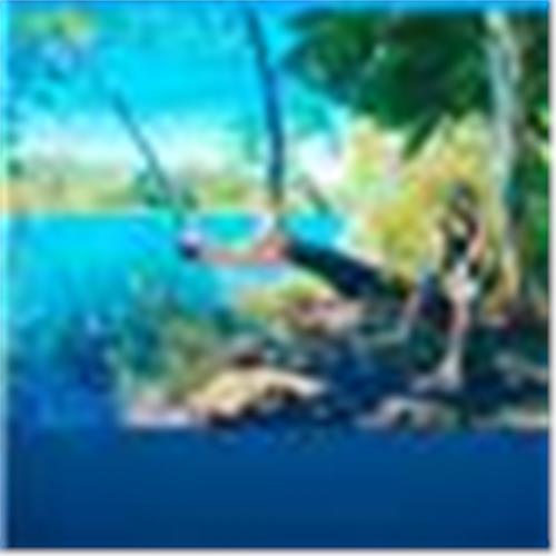 Preparador Físico - Instructor De Clases Y Pausas Activas. Allan Danilo Cerda Torroja