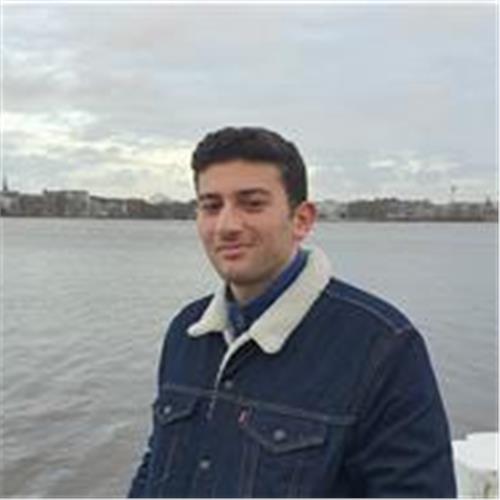 School And University-Level Mathematics Tutor (School Math, Linear ...
