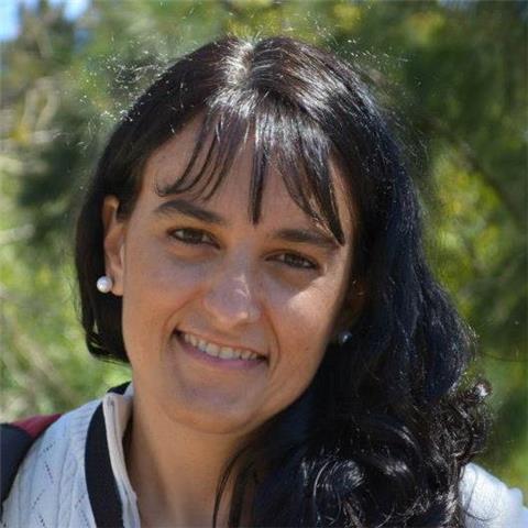 Python, C/C , C Sharp, Pascal, Pseint, Sql, Visual Basic, Flowgorithm